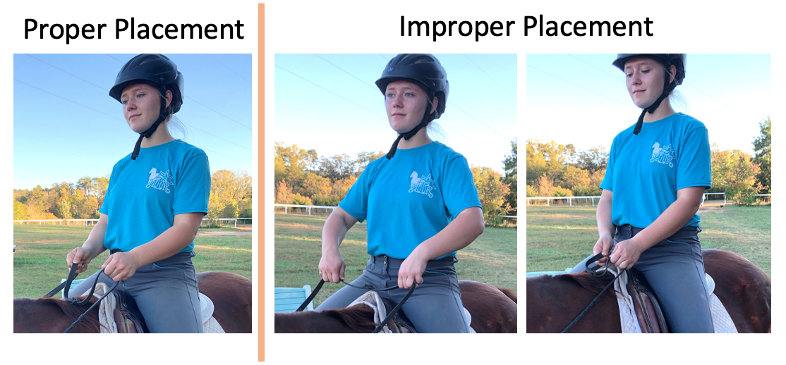 UT Horse | UT Horse
