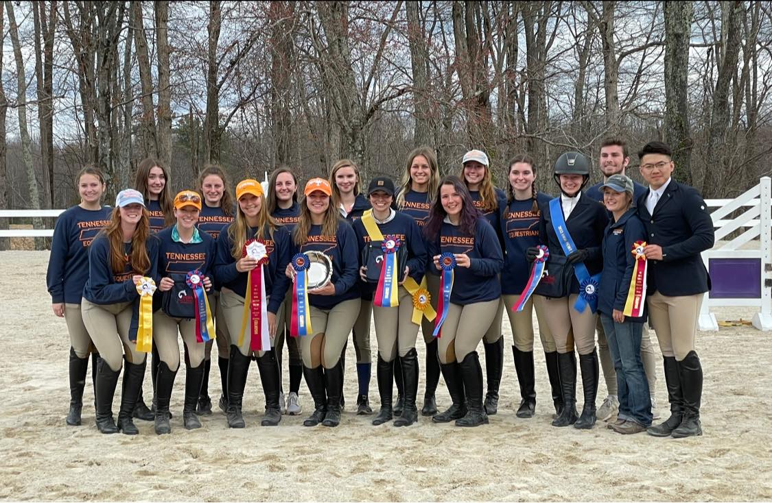University of Tennessee Equestrian Team | UT Horse
