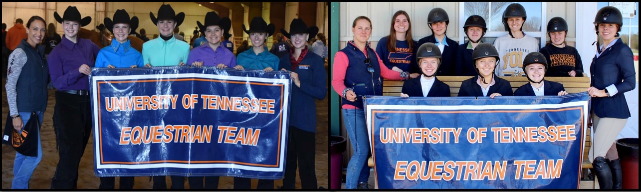 Equestrian Team at the University of Tennessee | UT Horse