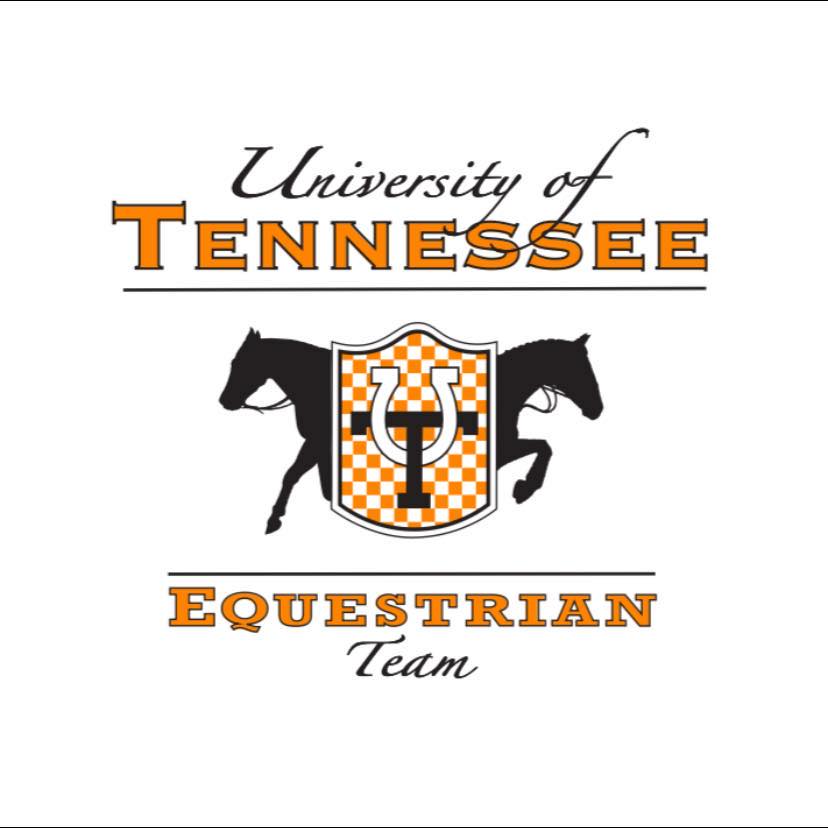 University of Tennessee Equestrian Team | UT Horse